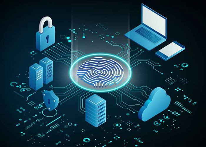 MayaSoft | Security Solutions Company